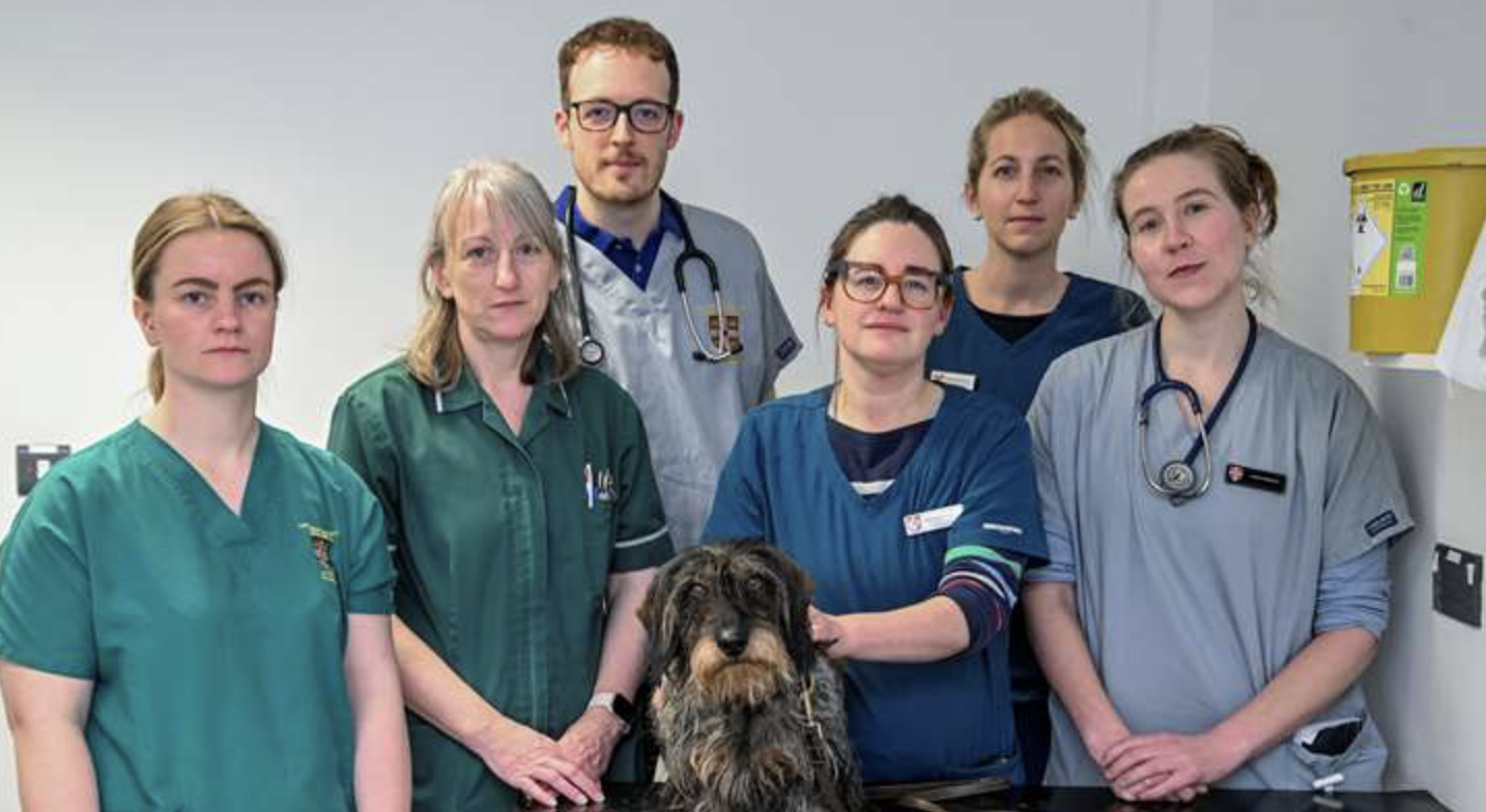 Save the Vet School - join 1000s of voices standing with the Vet School